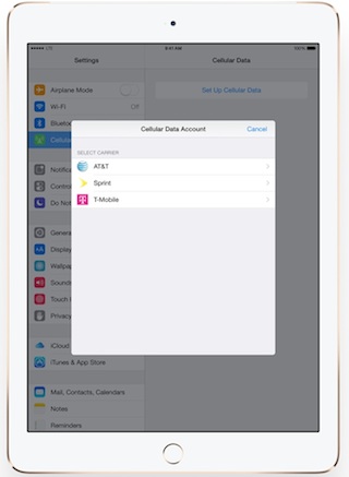Apple SIM and more flexible data plans – Silverton Consulting